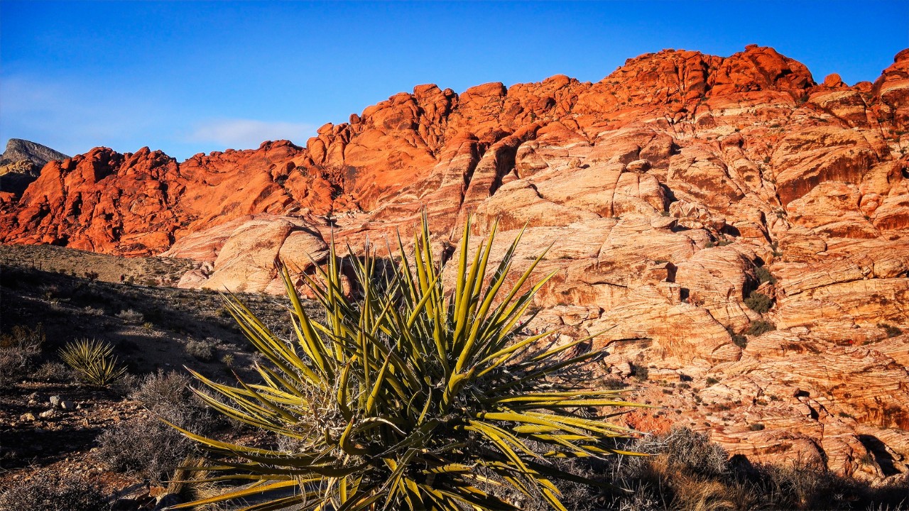 Red Rock Canyon: A First Time Visitor Guide