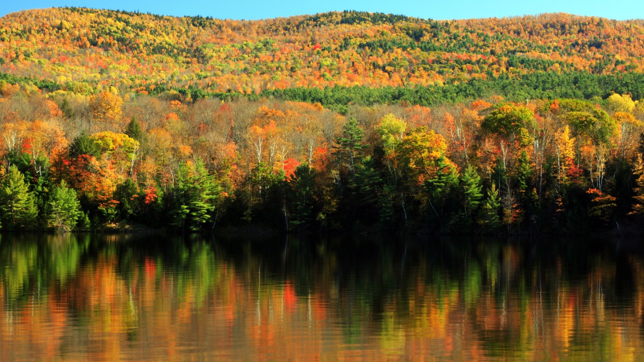 10 Best Places to See Connecticut Fall Foliage in 2025