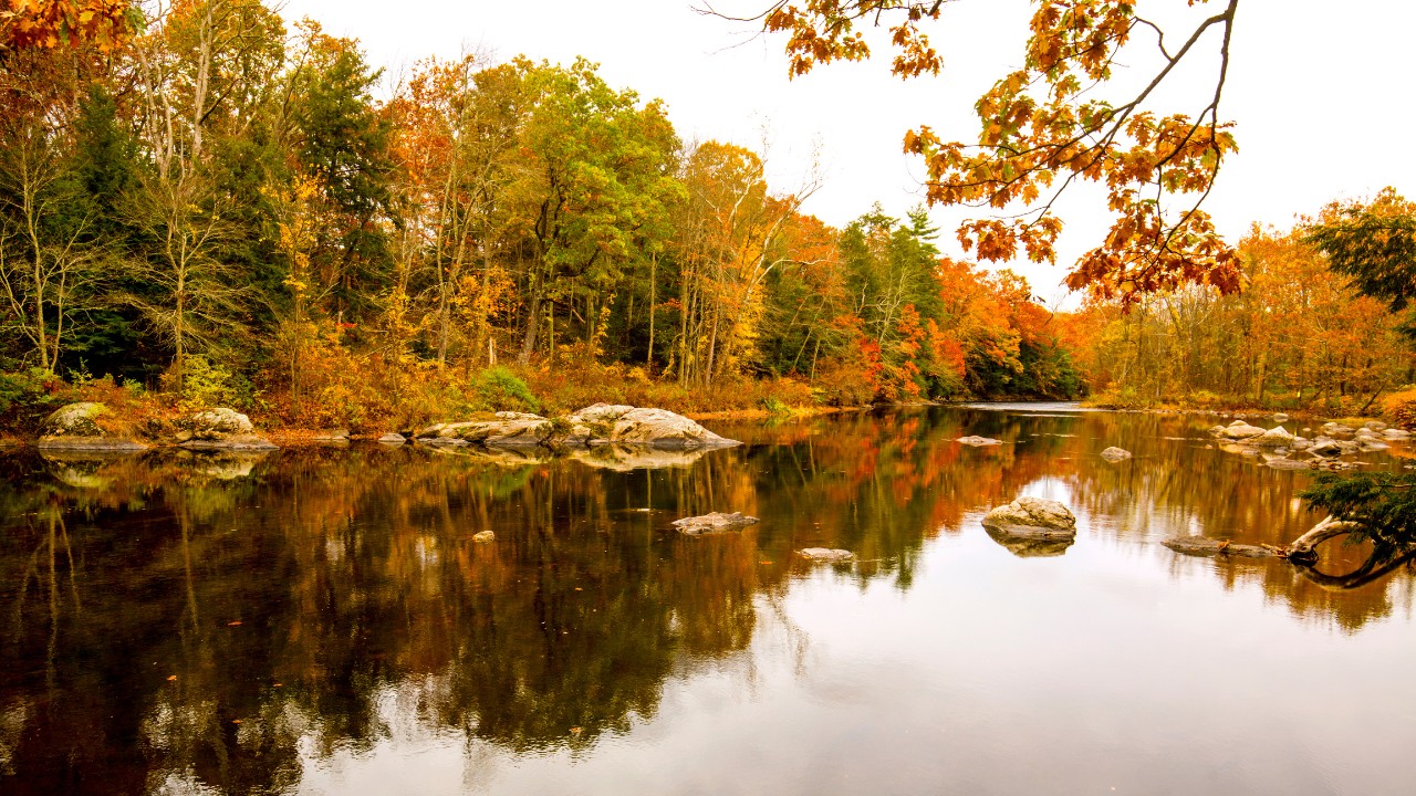 10 Best Places to See Connecticut Fall Foliage in 2025