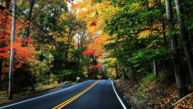 10 Best Places to See Connecticut Fall Foliage in 2025