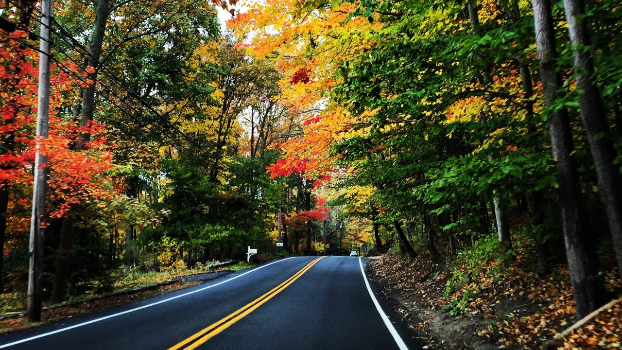 10 Best Places to See Connecticut Fall Foliage in 2025
