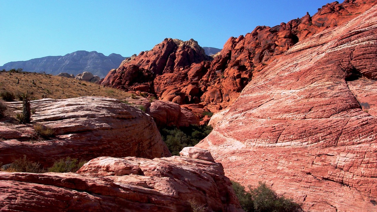 Red Rock Canyon: A First Time Visitor Guide