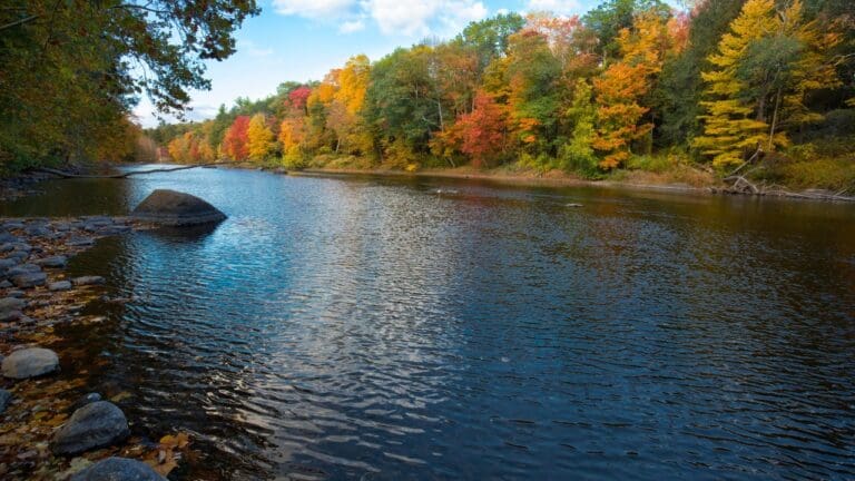 10 Best Places to See Connecticut Fall Foliage in 2025