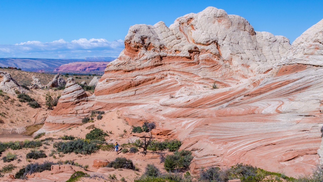 White Pocket Exploration Guide: Everything You Need to Know