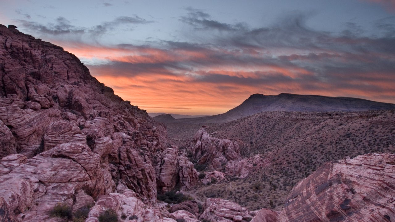 Red Rock Canyon: A First Time Visitor Guide