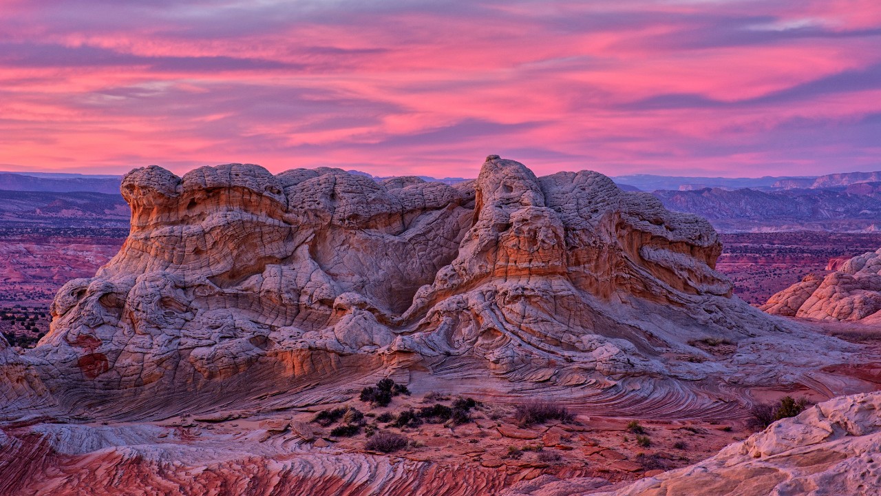 White Pocket Exploration Guide: Everything You Need to Know