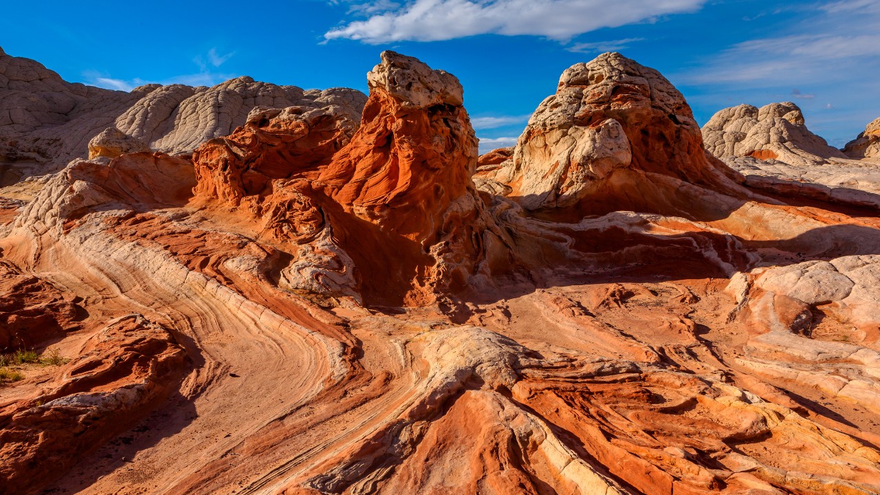 White Pocket Exploration Guide: Everything You Need to Know