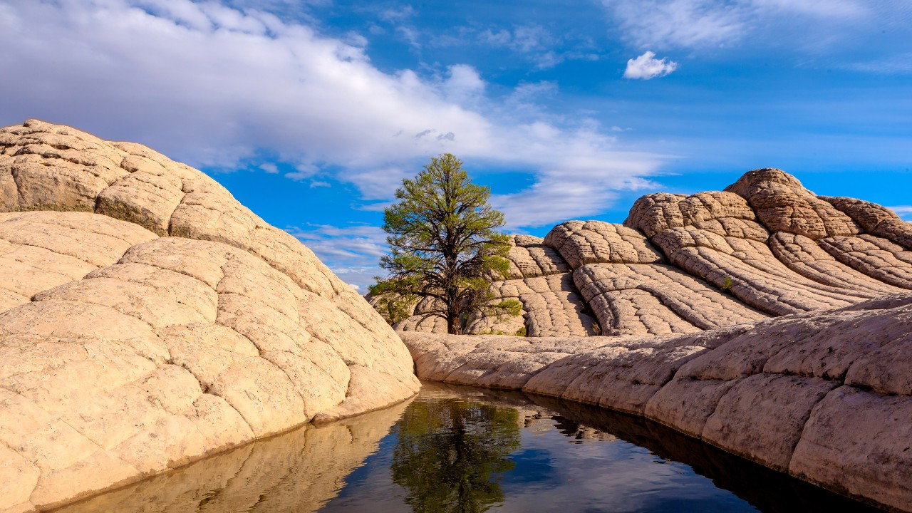 White Pocket Exploration Guide: Everything You Need to Know