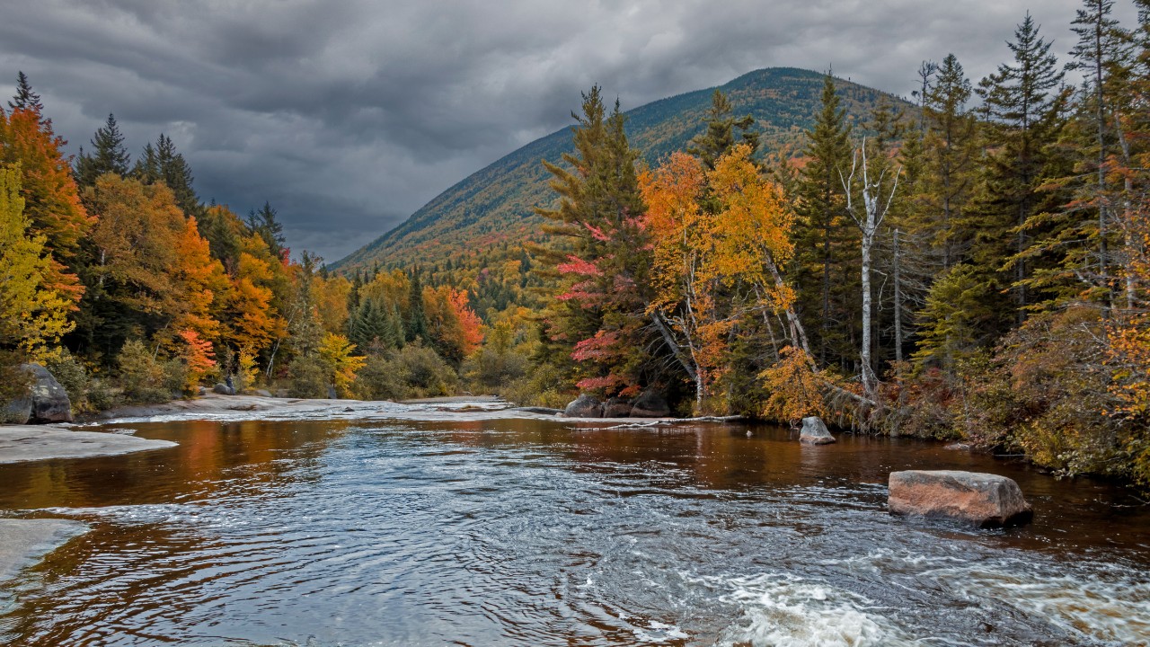 10 Best Places to See Maine Fall Foliage in 2025 | The Nature Seeker