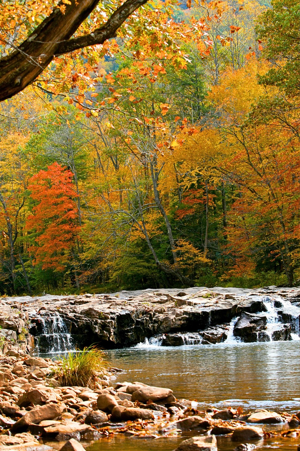 10 Best Maine Fall Foliage Road Trips To Take in 2025