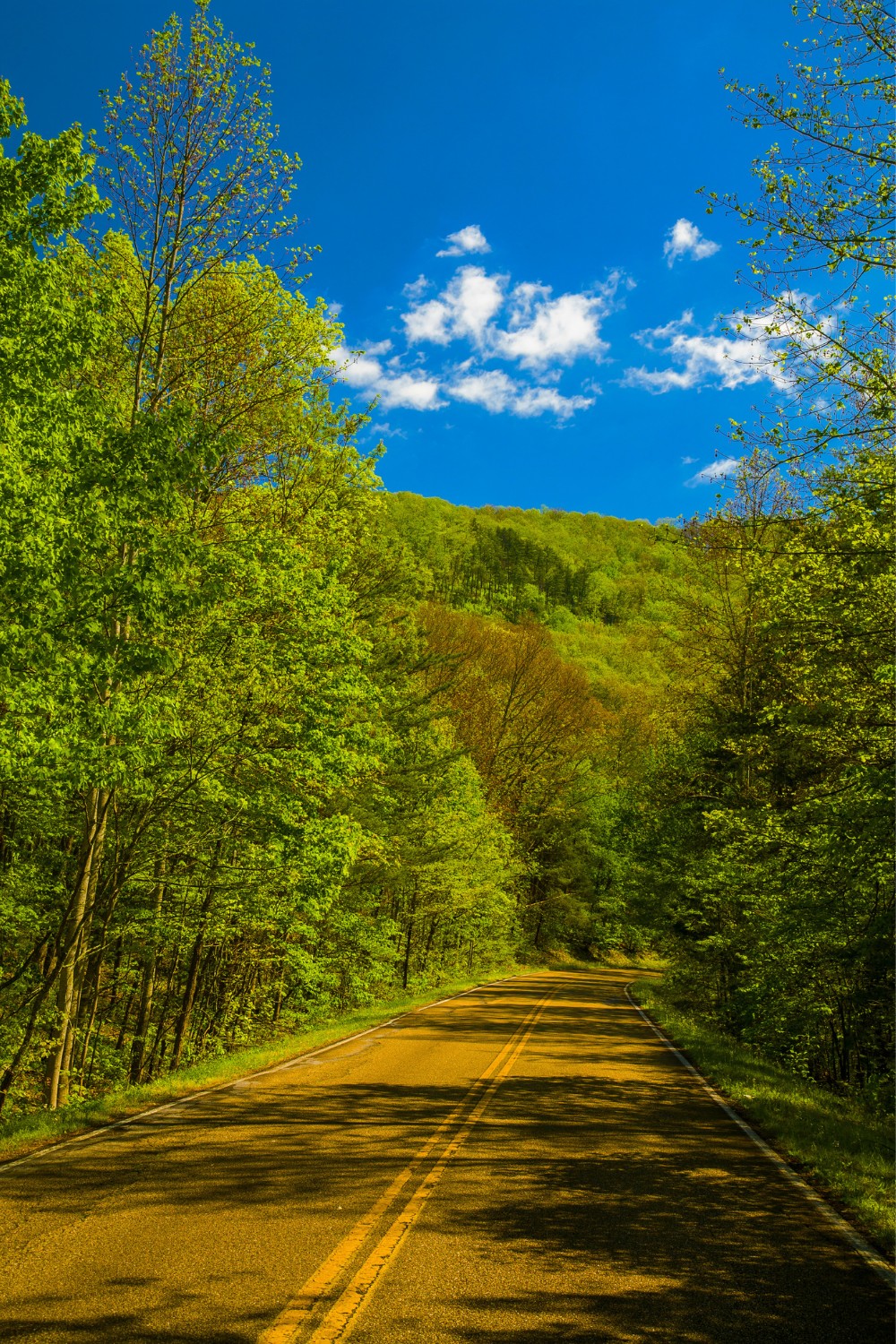 Great Smoky Mountains National Park Tennessee: 1st Time Visitor Guide