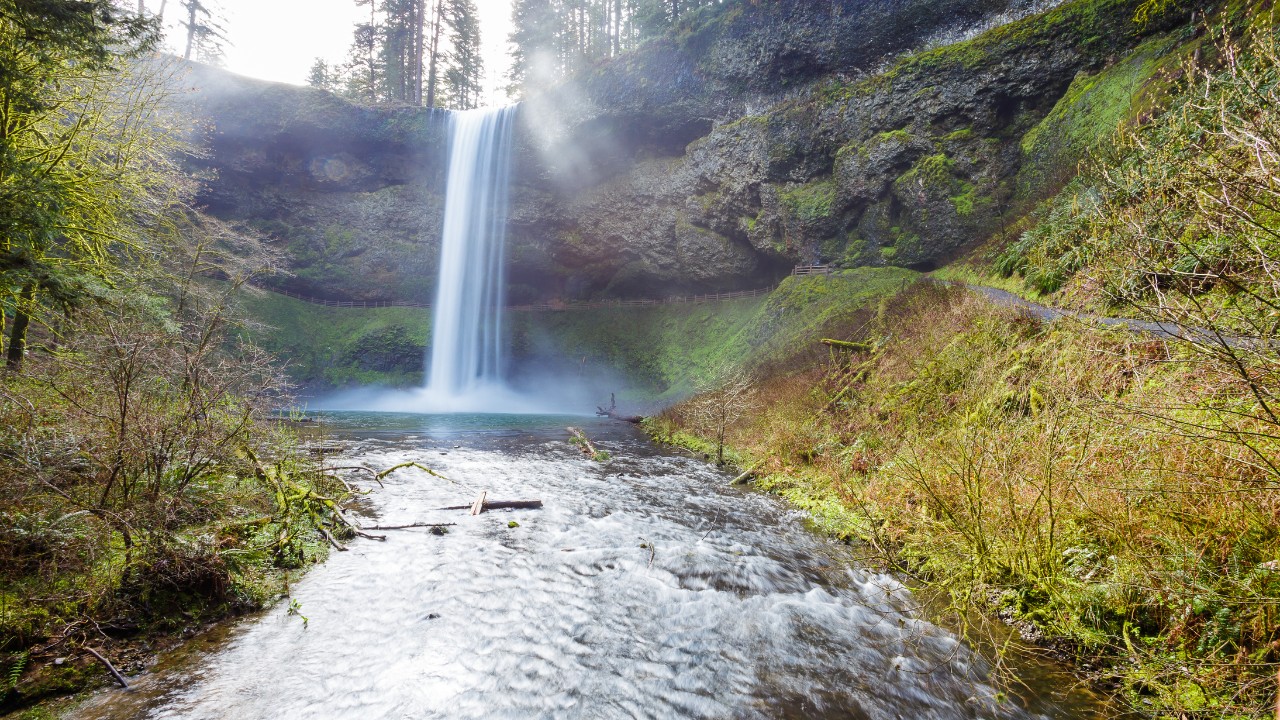 Silver Falls State Park: A First Time Visitor Guide