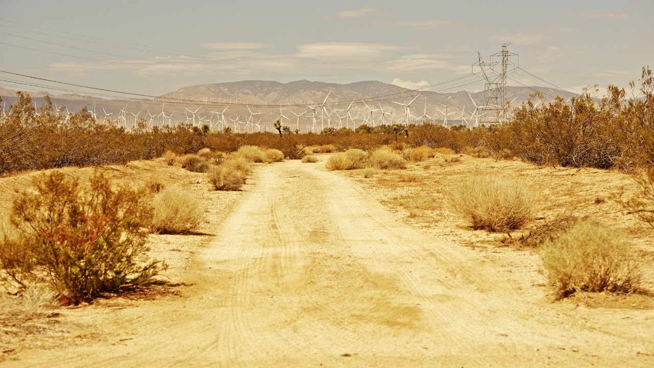 Mojave Desert: A First Time Visitor Guide