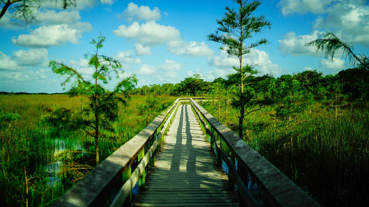 Everglades National Park: A First Time Visitor Guide