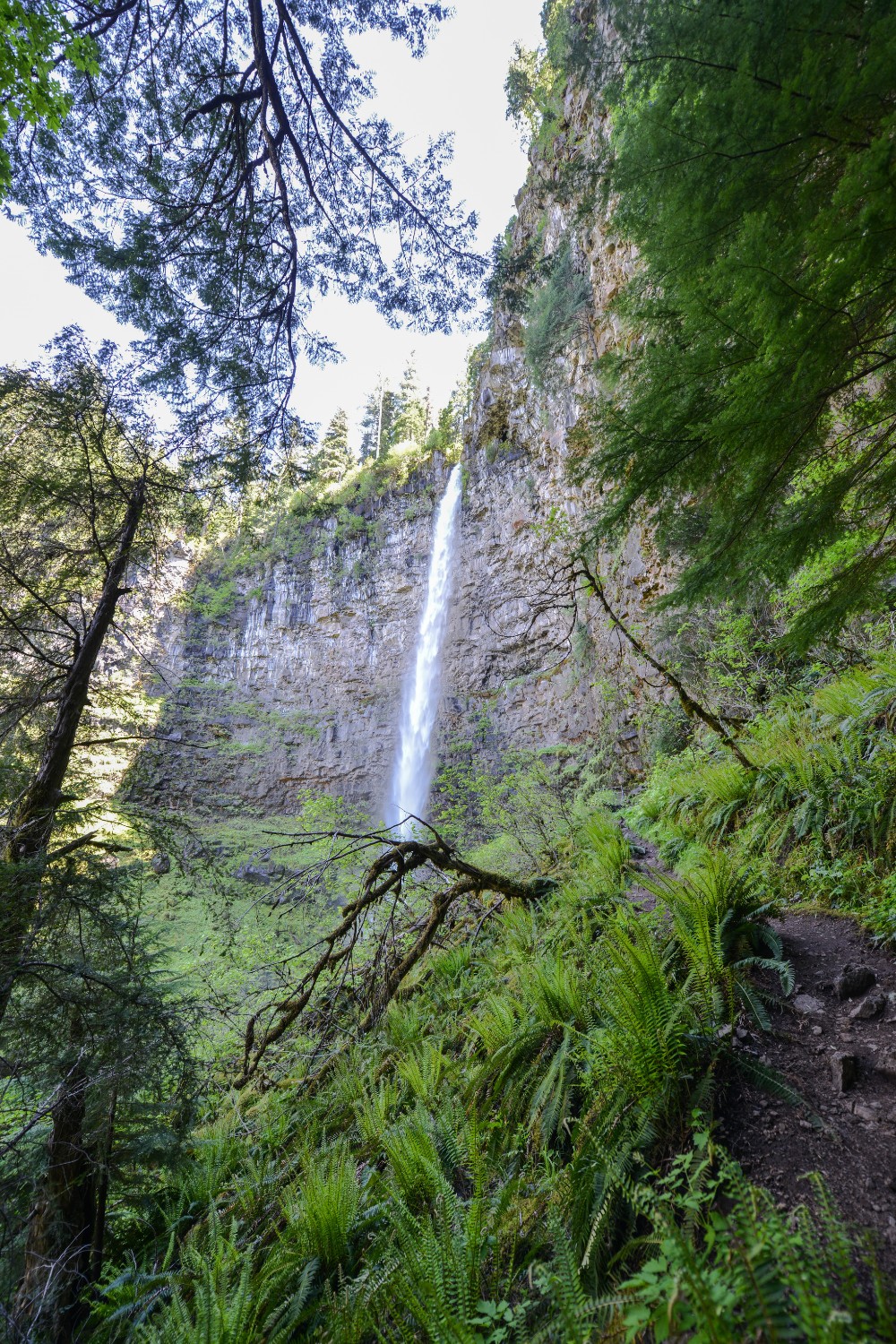10 Southern Oregon Waterfalls You Need to Visit