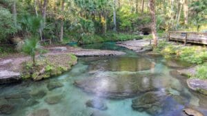 10 Best Natural Springs in Florida to Visit