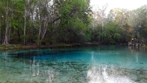 10 Best Natural Springs in Florida to Visit