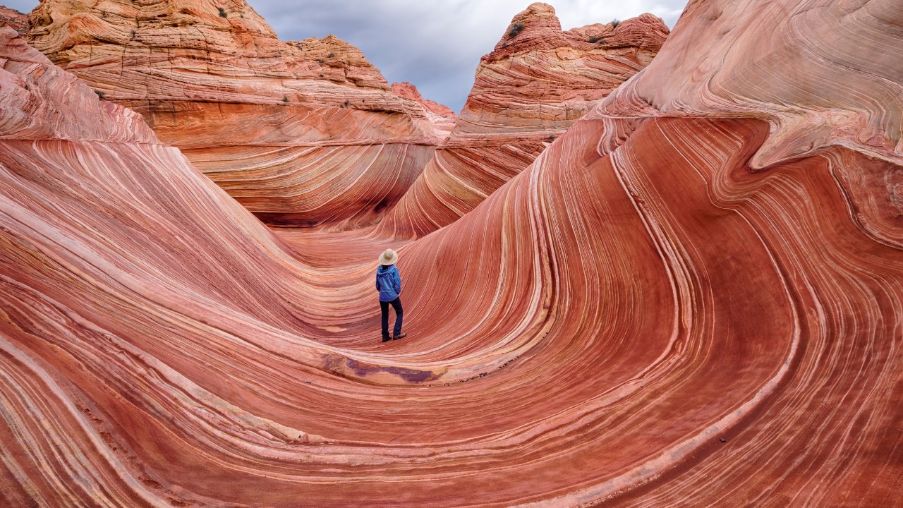 The Wave Arizona: Full Hiking Guide and Tips