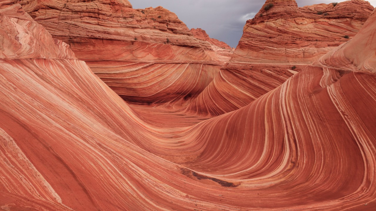 The Wave Arizona: Full Hiking Guide and Tips