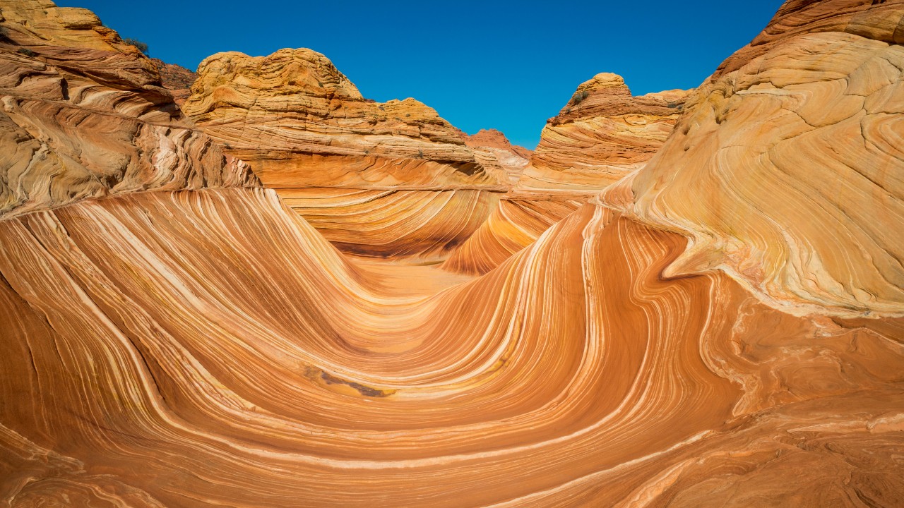 The Wave Arizona: Full Hiking Guide and Tips