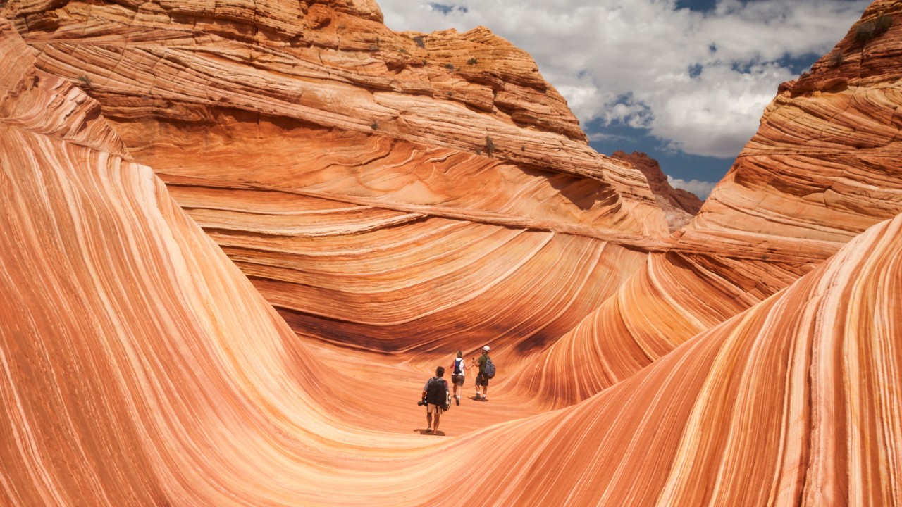 The Wave Arizona: Full Hiking Guide and Tips