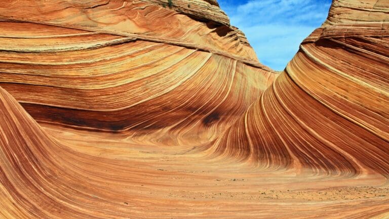 The Wave Arizona: Full Hiking Guide and Tips