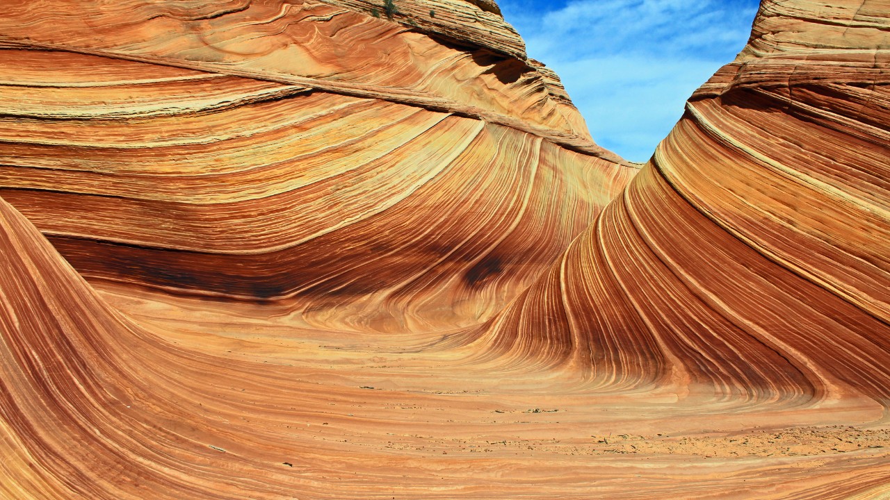 The Wave Arizona: Full Hiking Guide and Tips