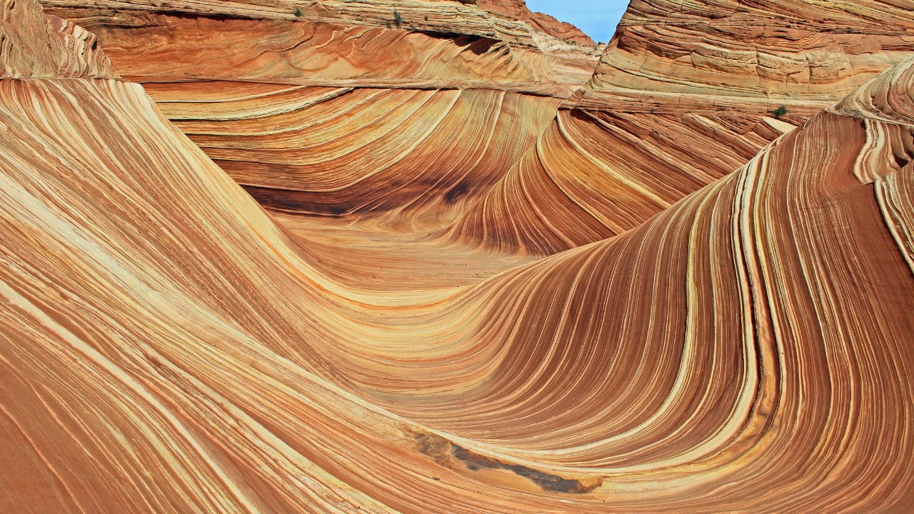 The Wave Arizona: Full Hiking Guide and Tips