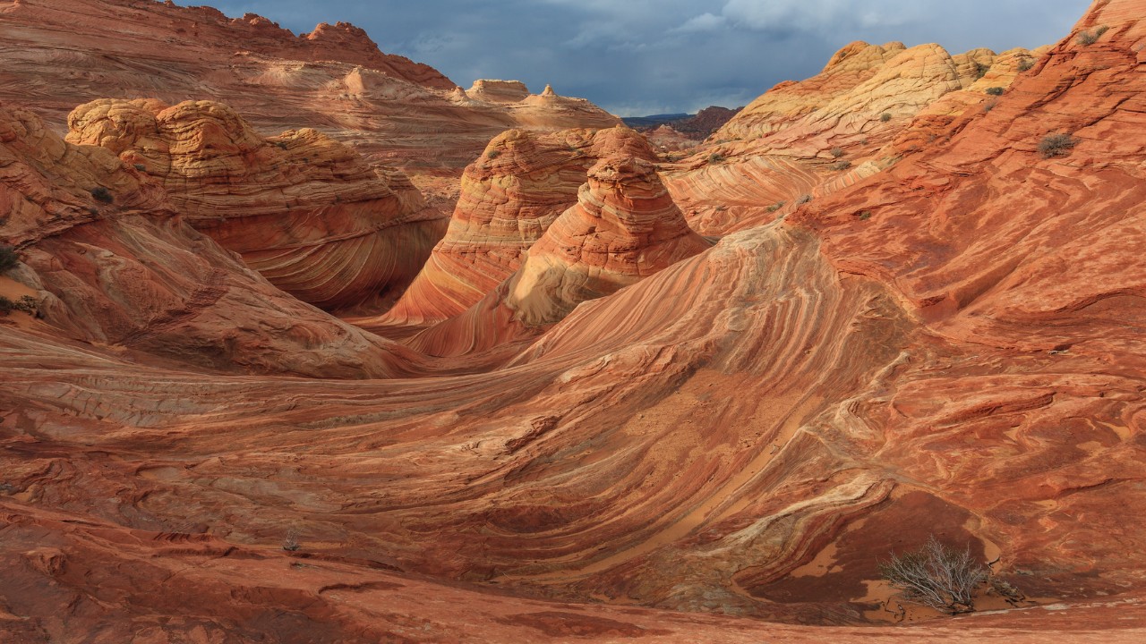 The Wave Arizona: Full Hiking Guide and Tips