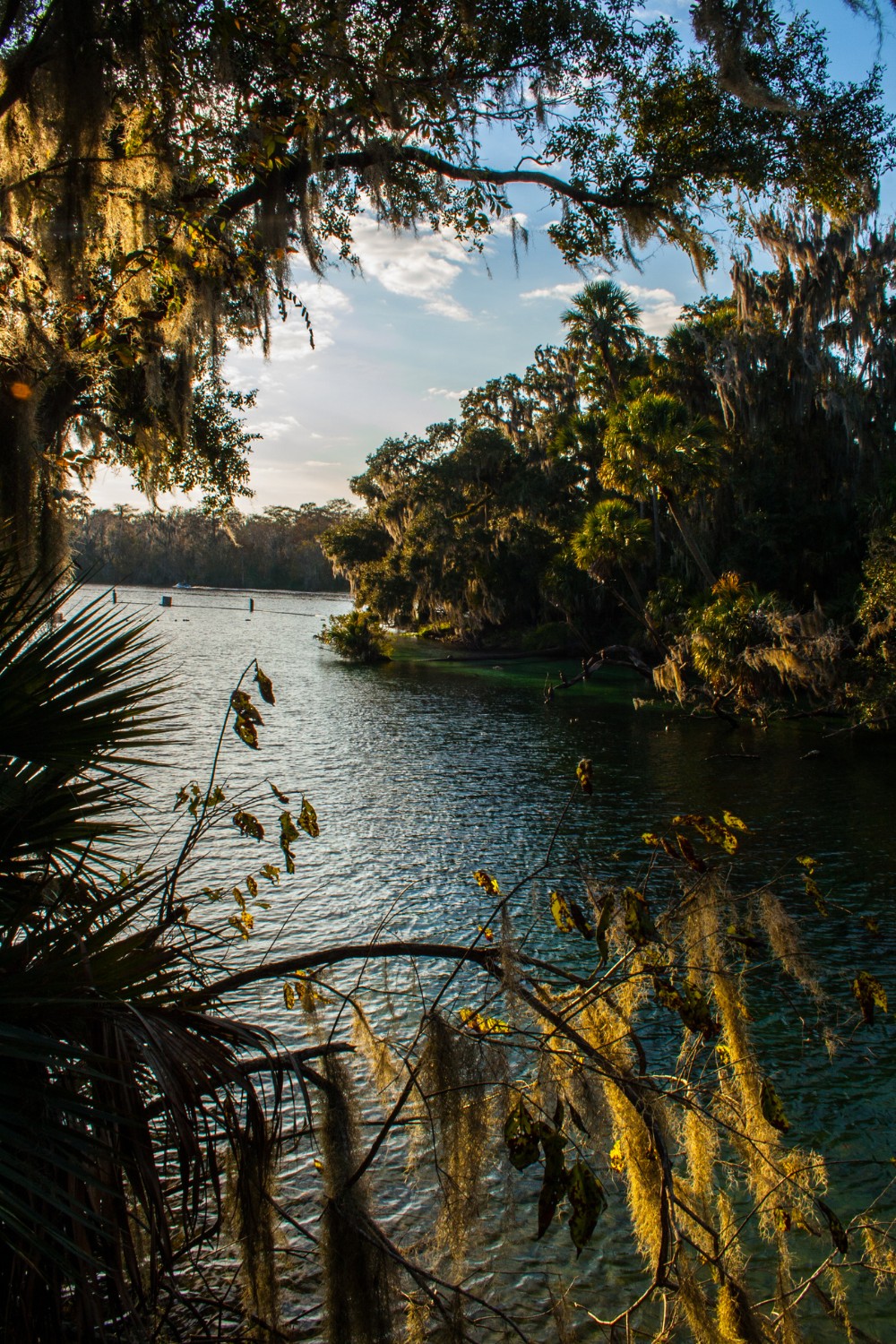 10 Best Natural Springs in Florida to Visit