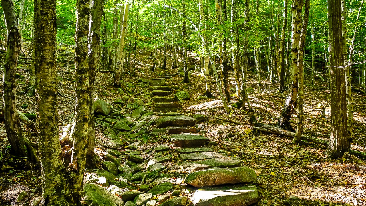Acadia National Park: 1st Time Visitor Guide