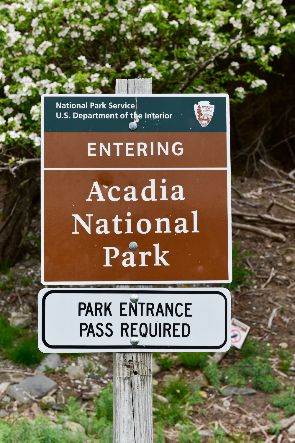 Acadia National Park: 1st Time Visitor Guide