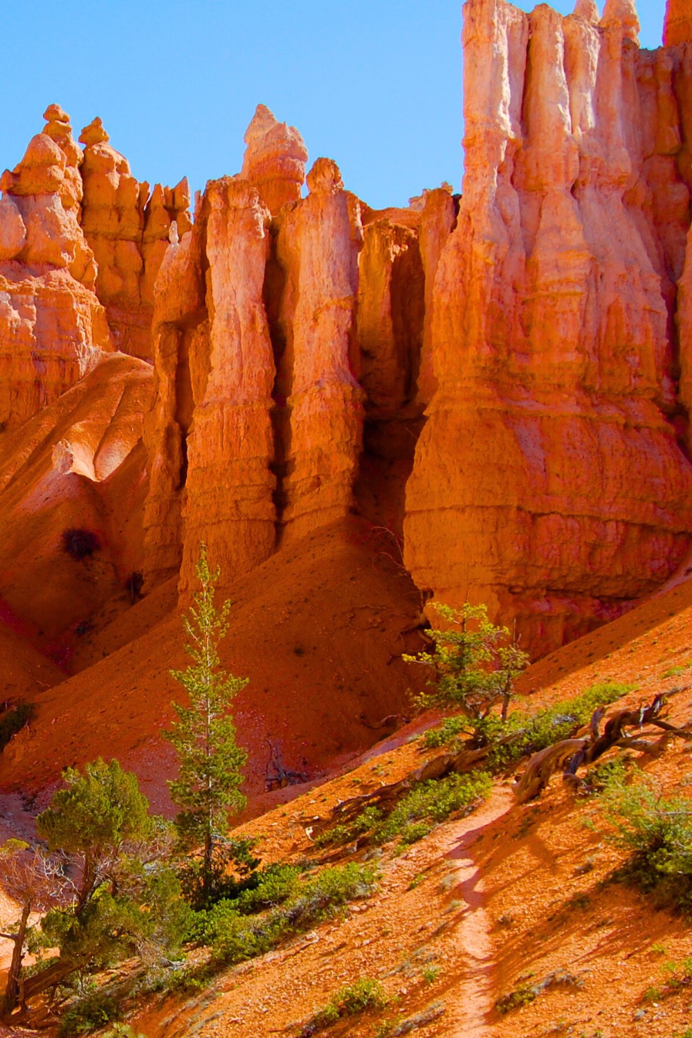 Grand Circle Road Trip: A Complete Beginners Guide