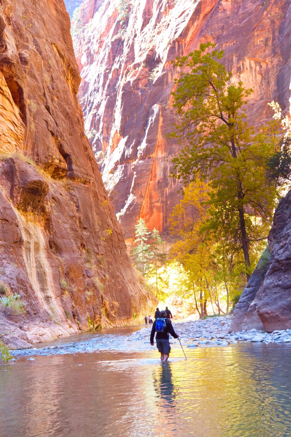 Grand Circle Road Trip: A Complete Beginners Guide