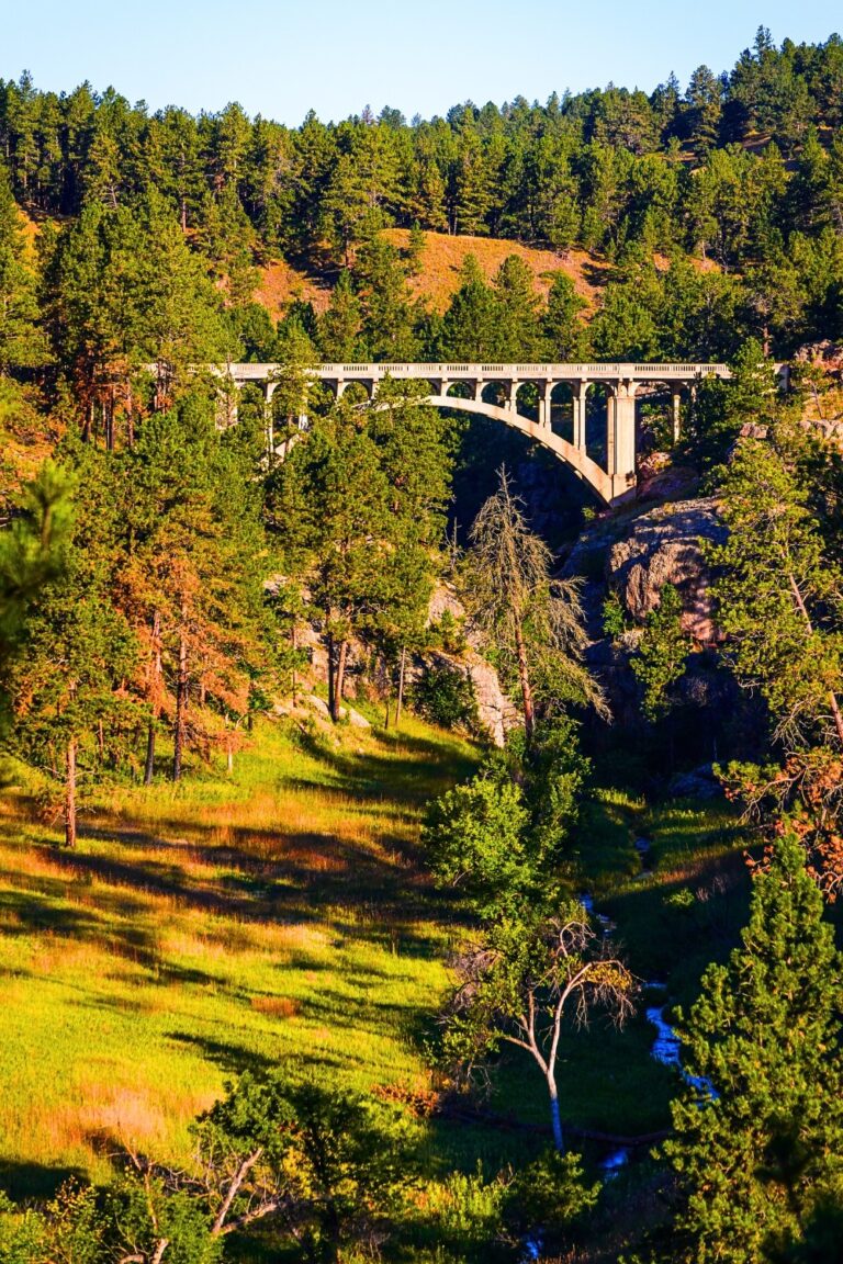 Wind Cave National Park South Dakota: 1st Time Visitor Guide