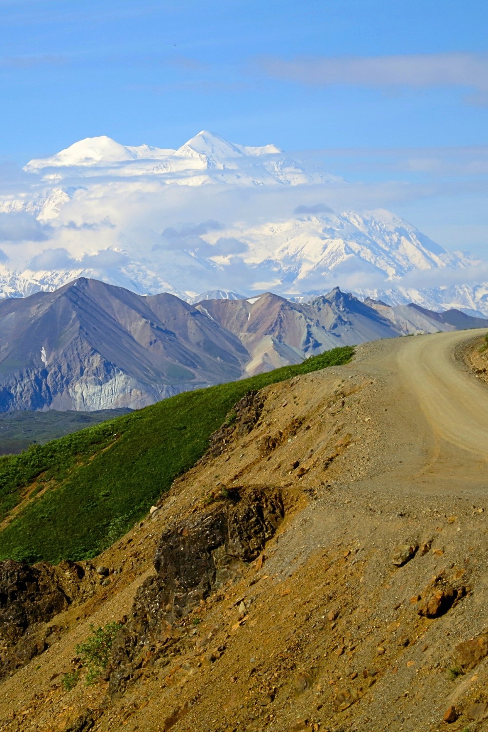 Denali National Park: 1st Time Visitor Guide