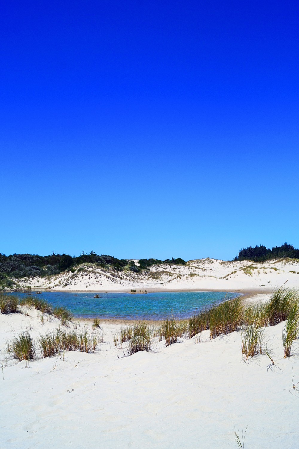 Oregon Dunes National Recreation Area: 1st Time Visitor Guide