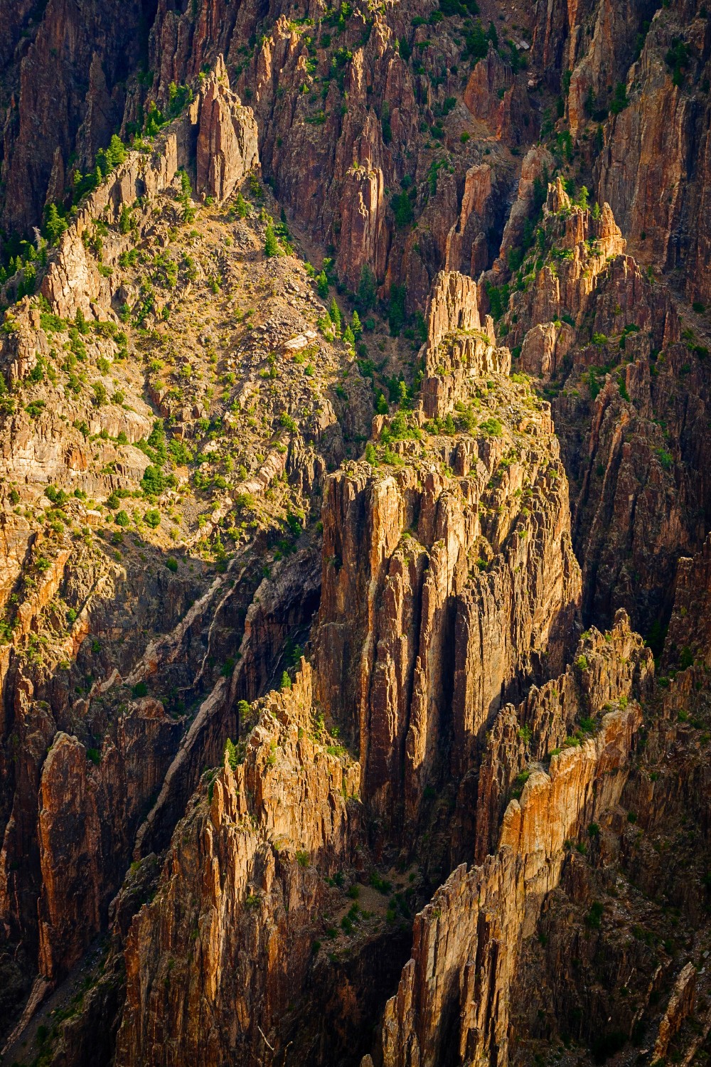 Black Canyon of the Gunnison National Park: 1st Time Visitor Guide
