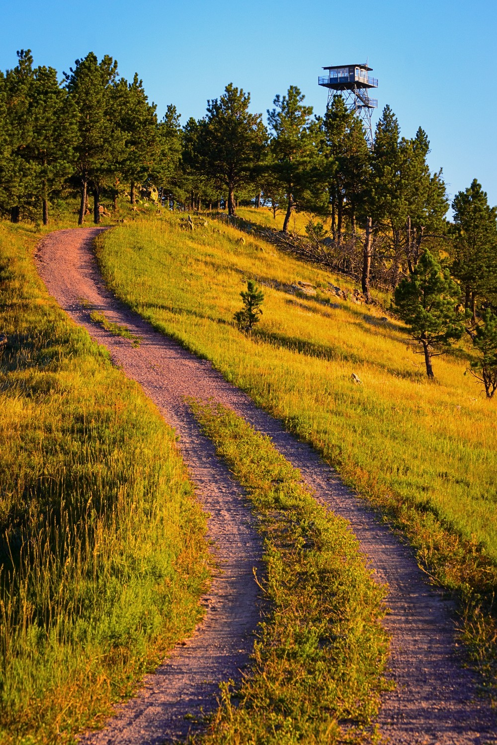 Wind Cave National Park South Dakota: 1st Time Visitor Guide