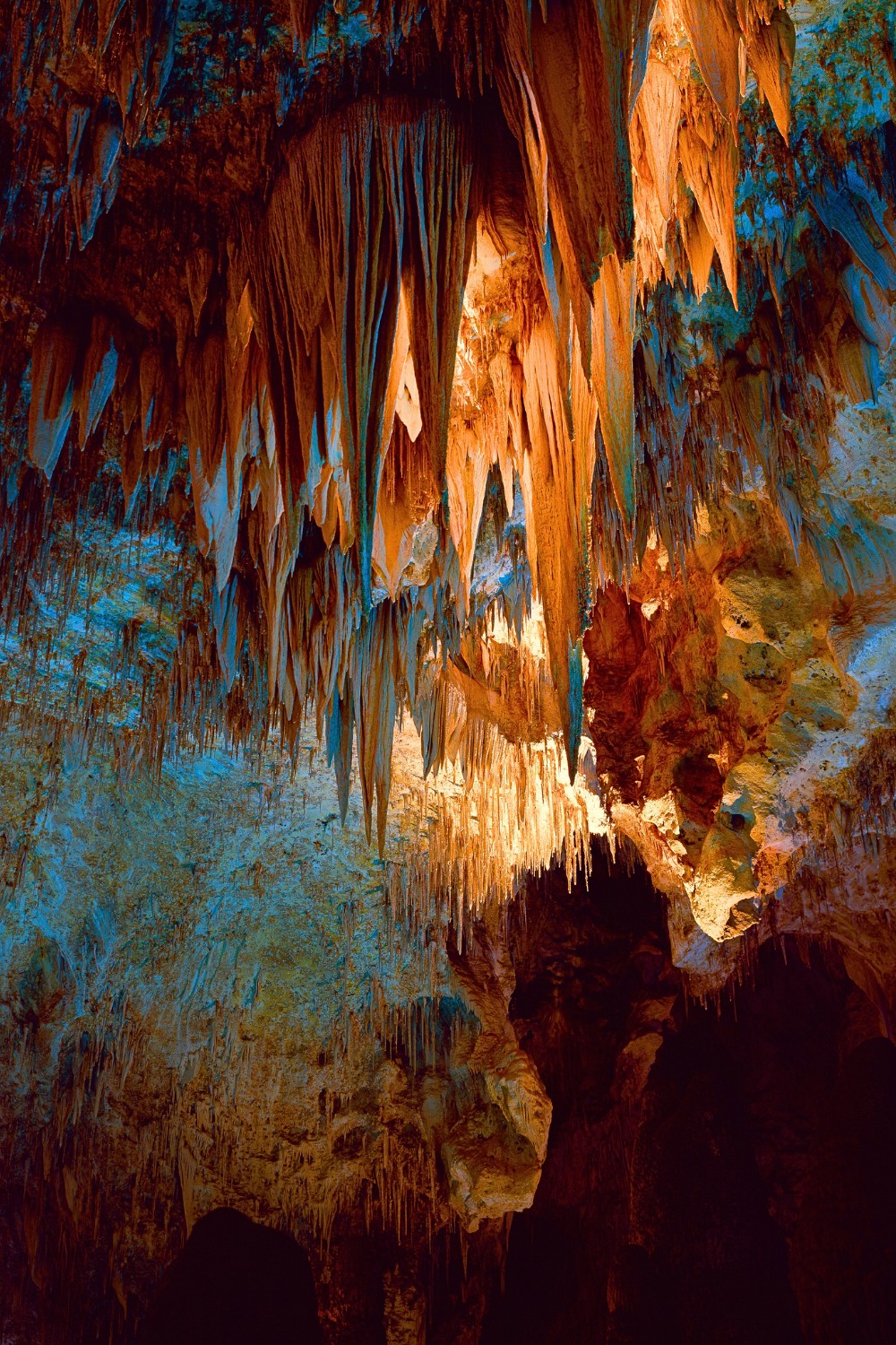Carlsbad Caverns National Park: 1st Time Visitor Guide
