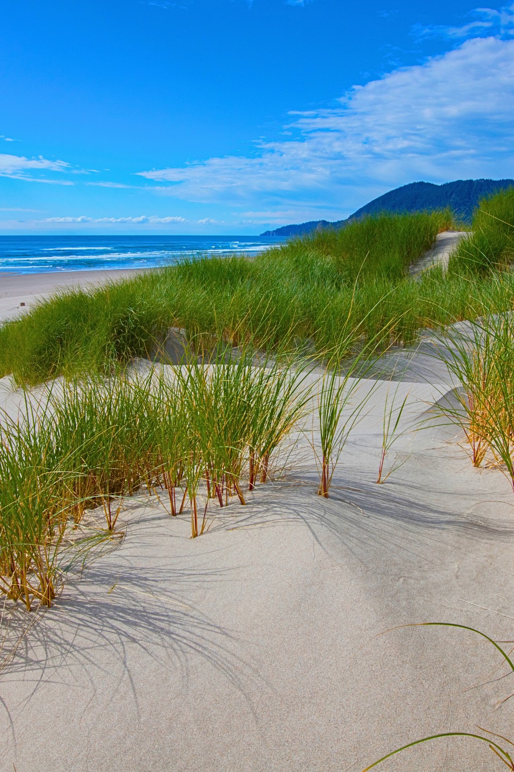 Oregon Dunes National Recreation Area: 1st Time Visitor Guide