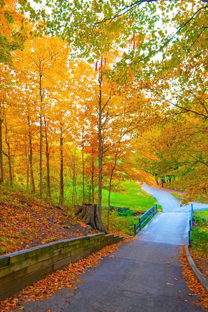 10 Indiana Road Trip Ideas With Hidden Gems