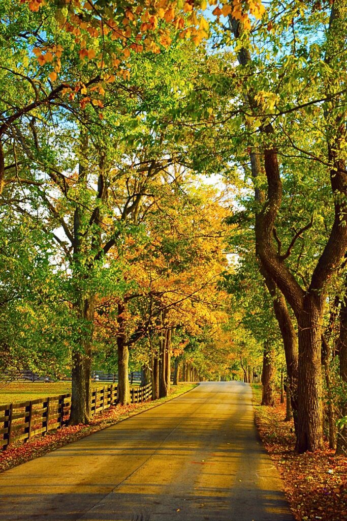 10 Kentucky Road Trip Ideas With Hidden Gems