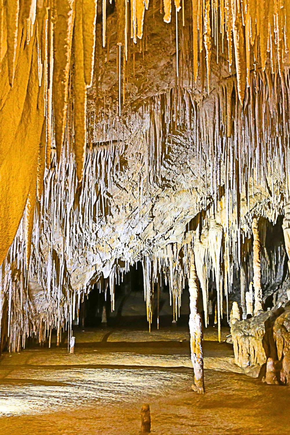Oregon Caves National Monument: 1st Time Visitor Guide