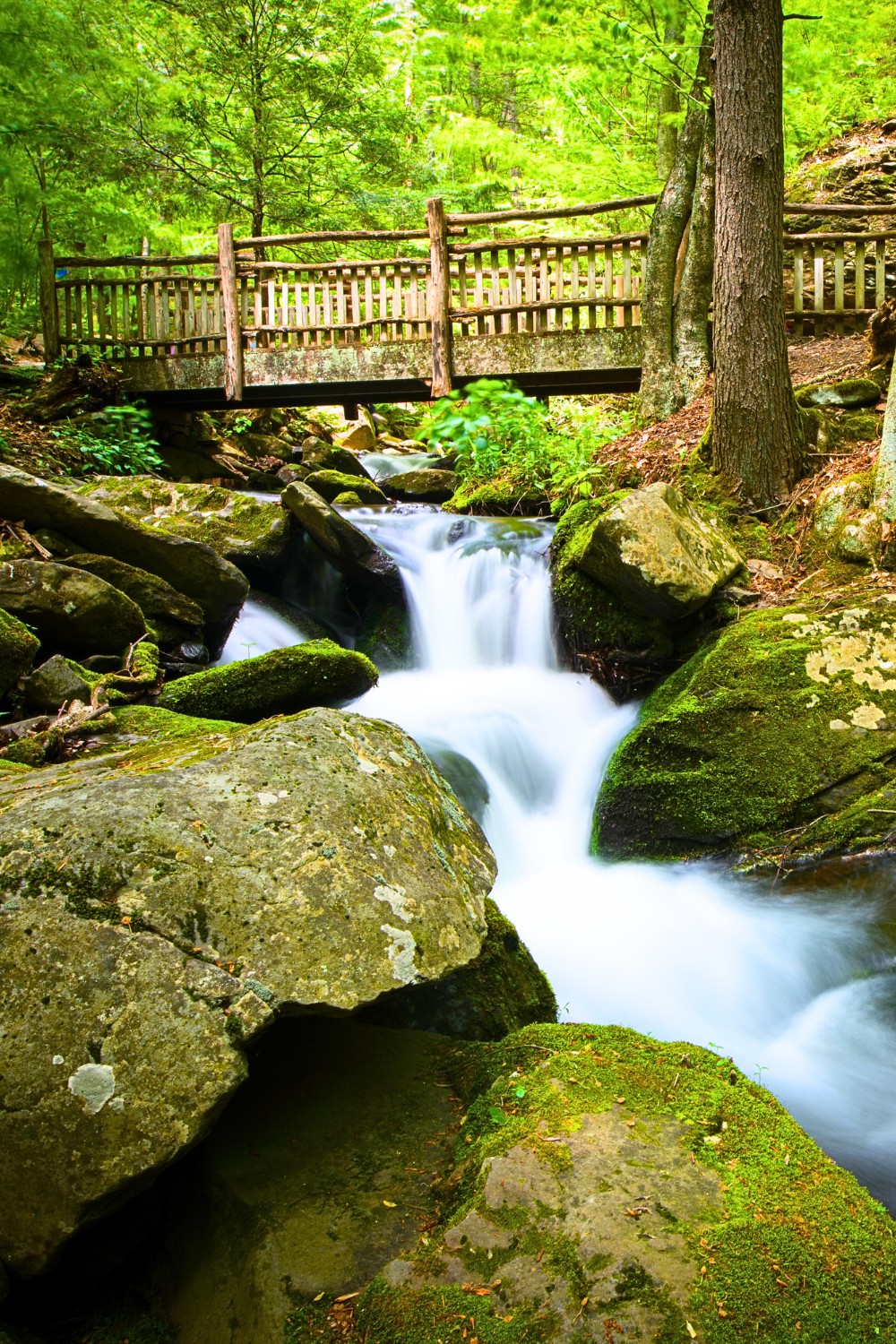 Bushkill Falls PA: 1st Time Visitor Guide
