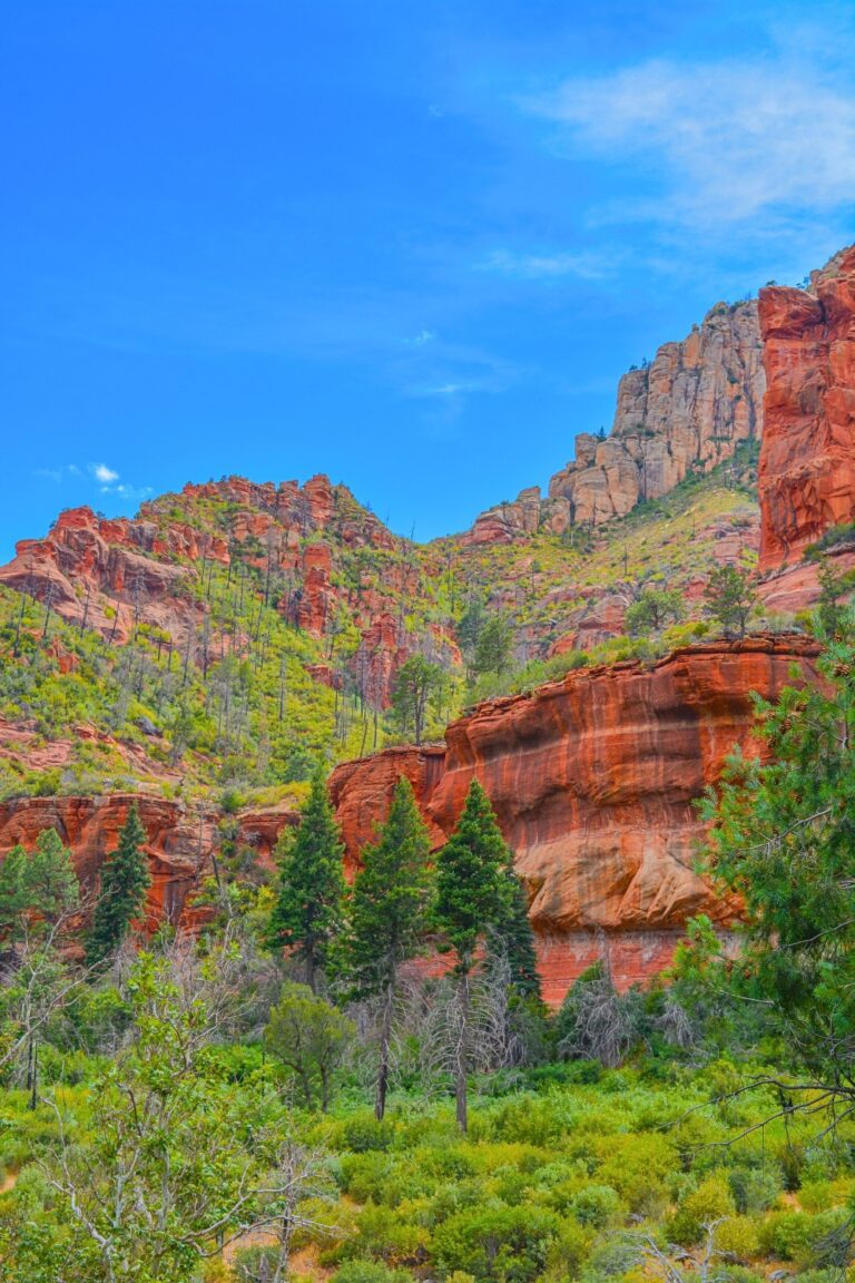 Coconino National Forest Arizona: 1st Time Visitor Guide