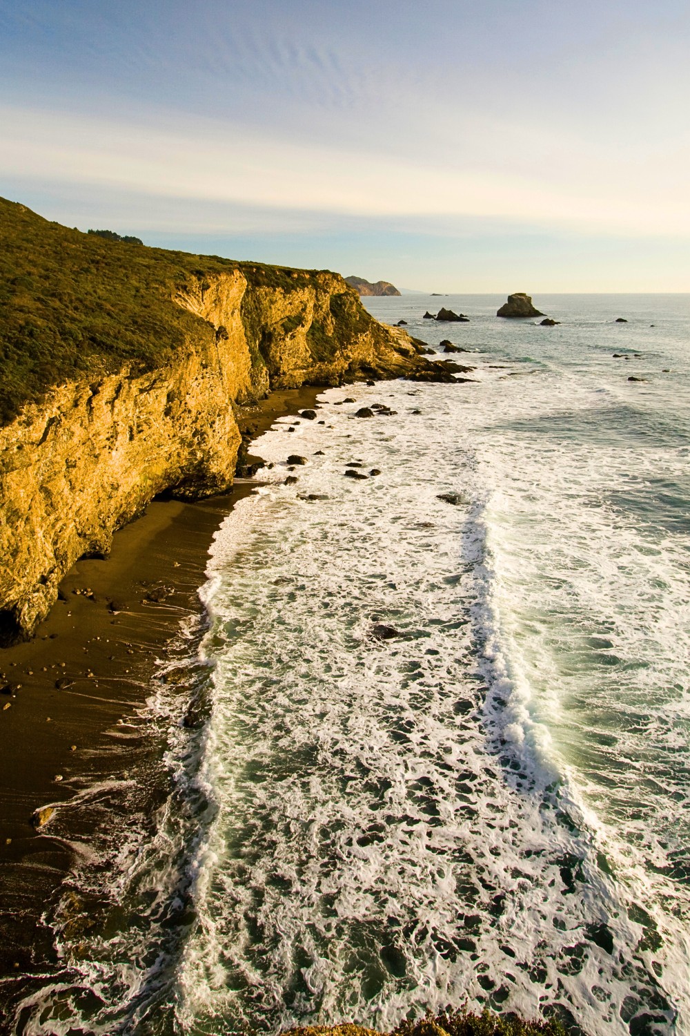 Point Reyes National Seashore: 1st Time Visitor Guide