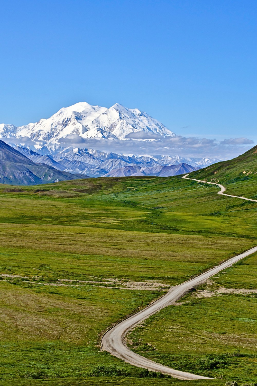 Denali National Park: 1st Time Visitor Guide