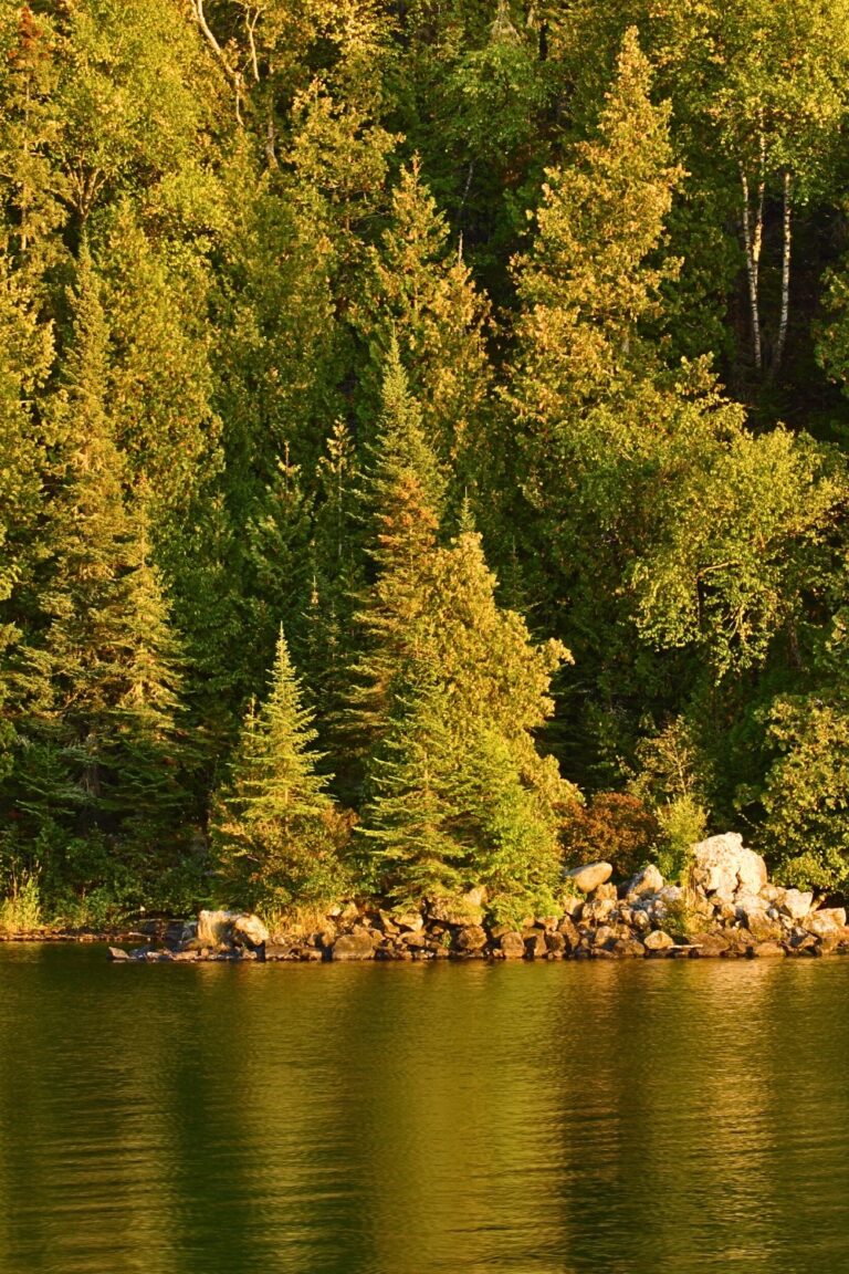 Isle Royale National Park: 1st Time Visitor Guide