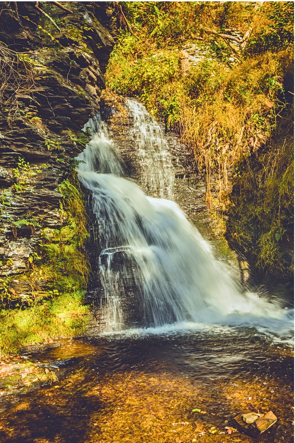 Bushkill Falls PA: 1st Time Visitor Guide